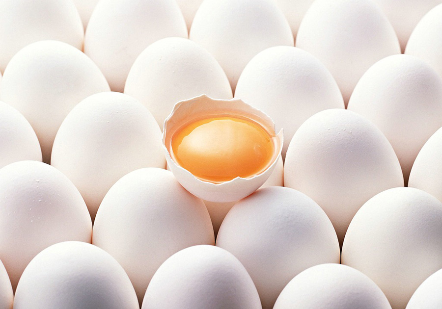 The EGG Factor -Mayonnaise – Simply Splendid Food