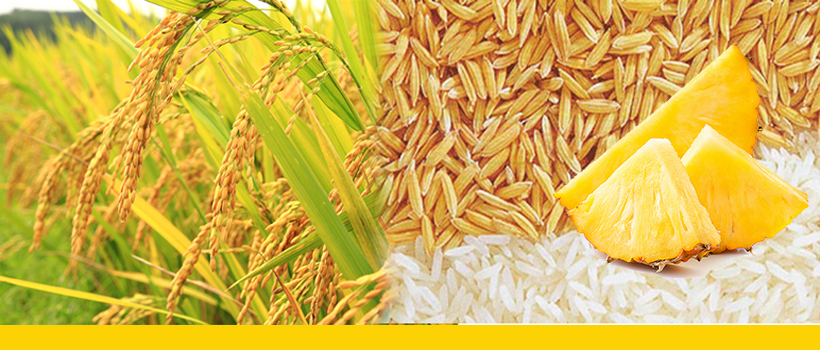 Thai Pineapple Fried Rice – Simply Splendid Food