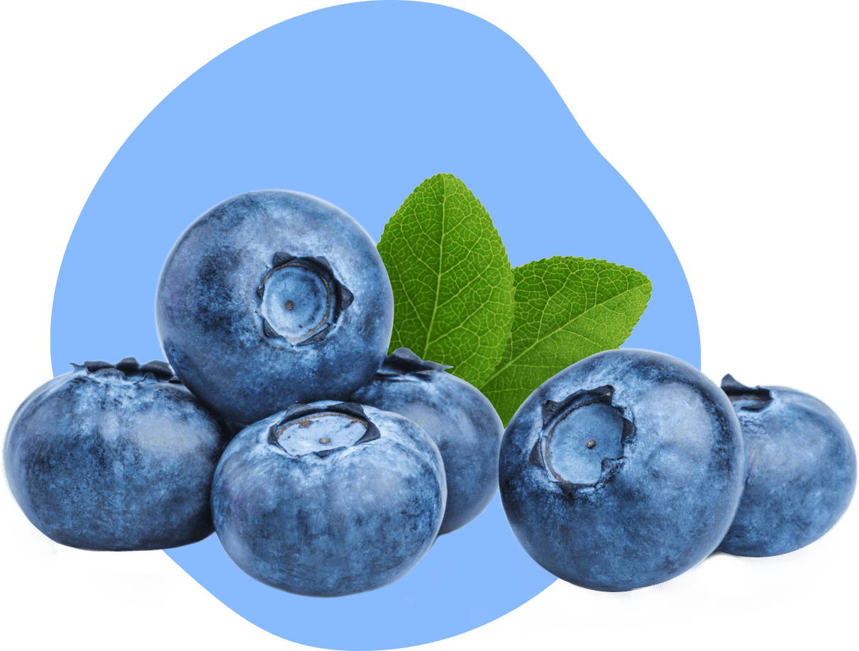 Blueberry CRISP ~ New and Improved! – Simply Splendid Food